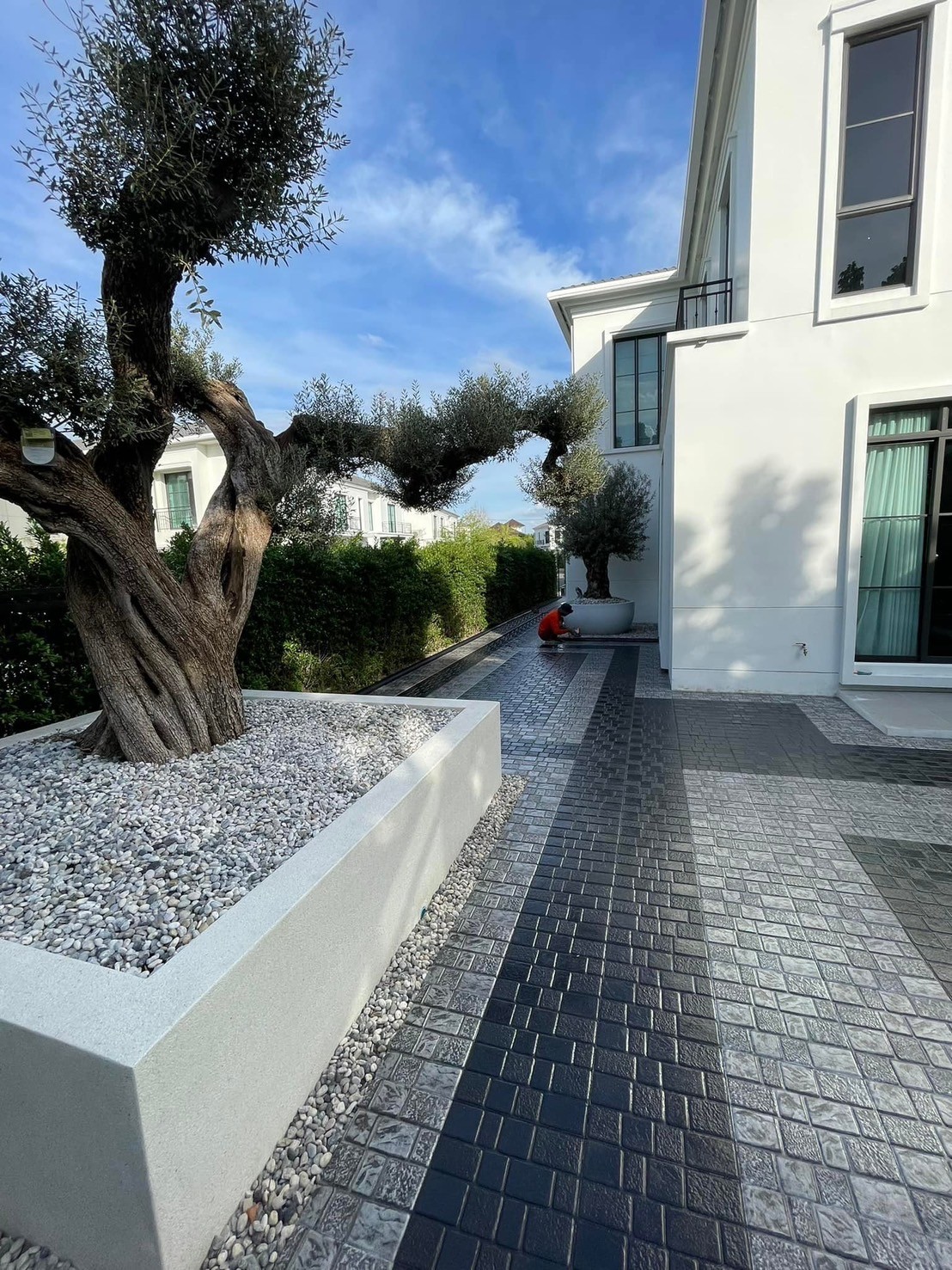 Mountain – Create Your Website